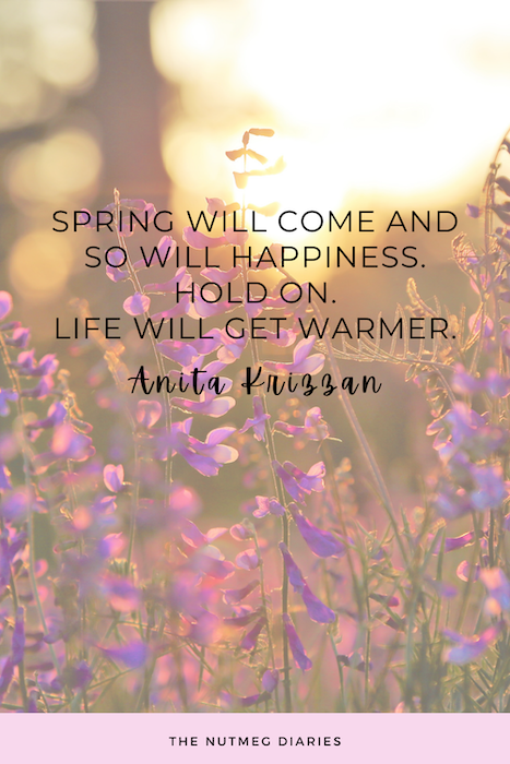 10 Spring Quotes to Brighten Up Your Day - Allison Bree
